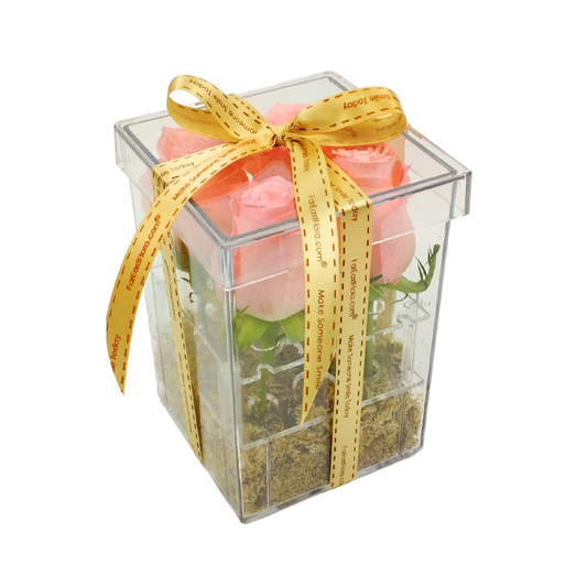 Flower Box Series | Far East Flora Malaysia – FarEastFlora.com.my