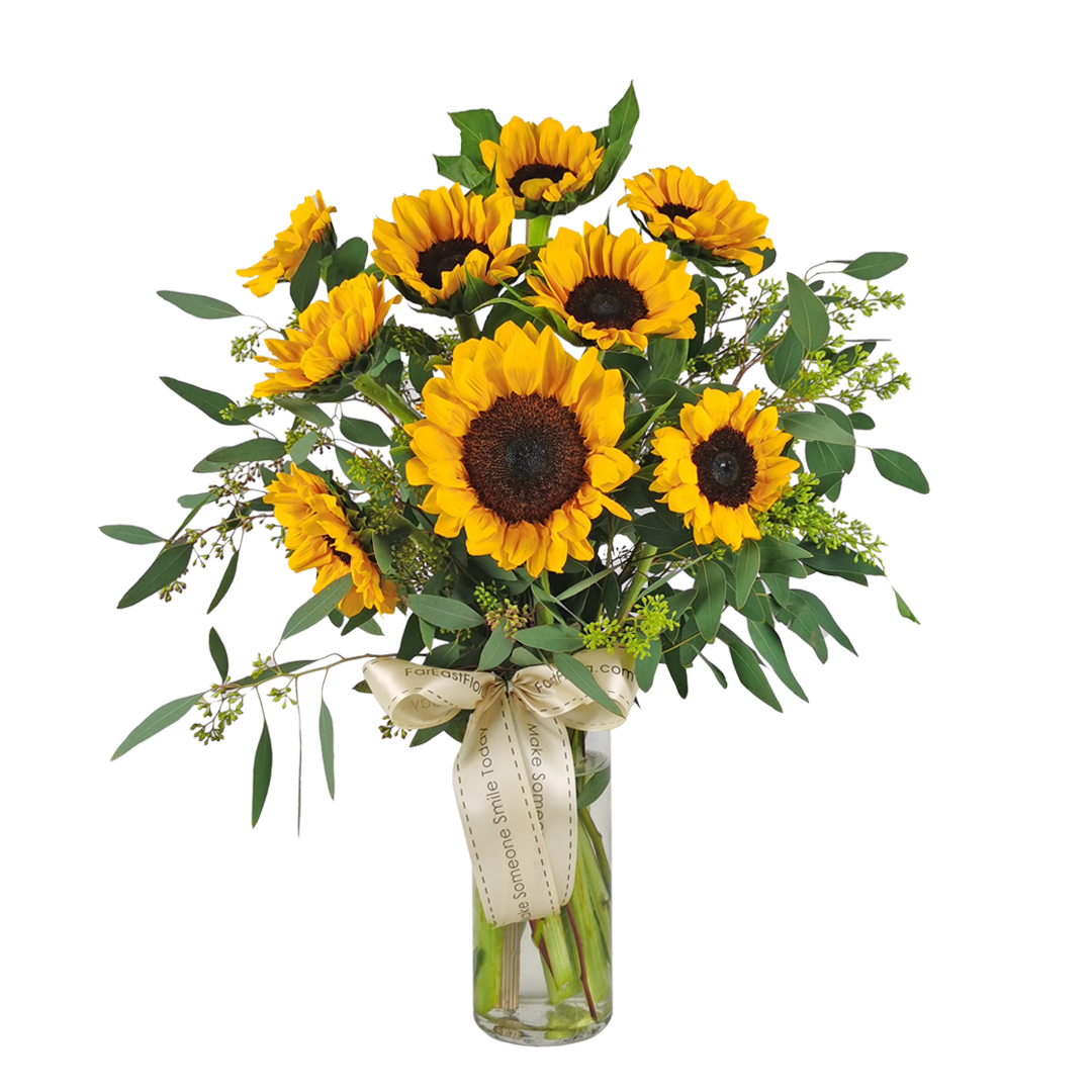 MYTF027 My Sunshine Table Flower Far East Flora Malaysia MYTF027 My Sunshine Table Flower Far East Flora Malaysia